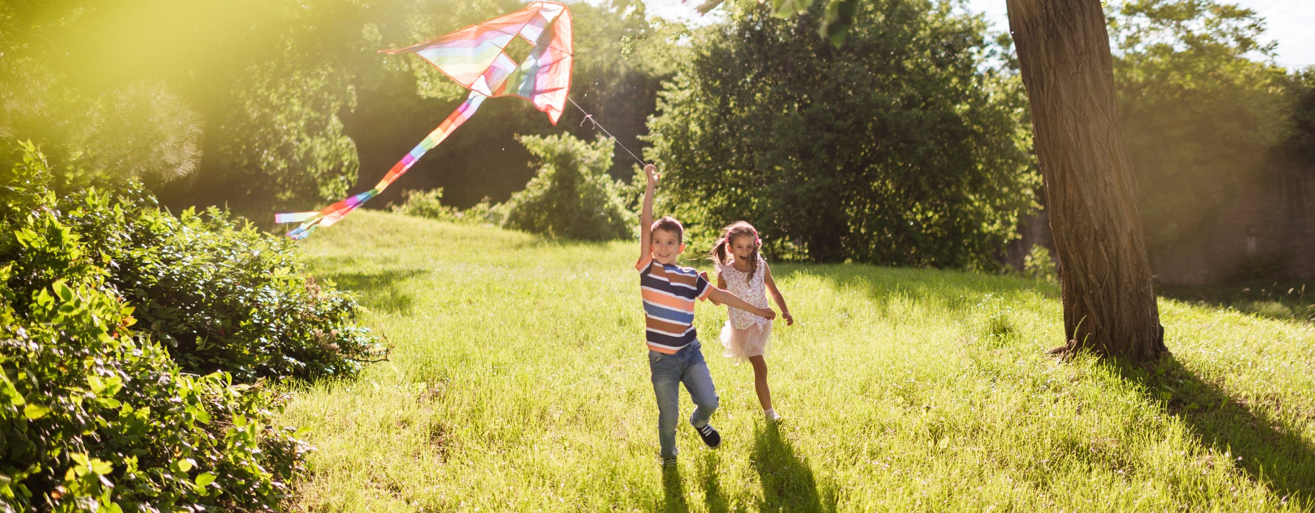 Downloadcenter – Evolon